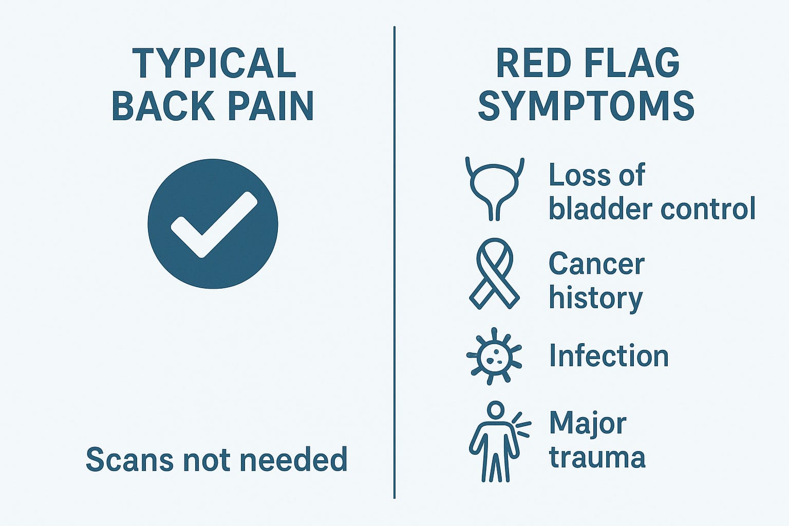 Why Scans Don’t Show the Cause of Lower Back Pain - On Path Physio
